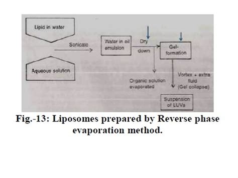 Liposomes Classification Methods Of Preparation And Application Ppt