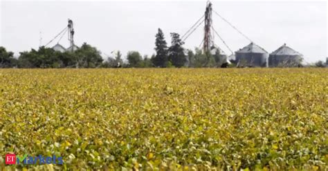 Bayer Cropscience Ltd Bayer Cropscience Launches Buy Back Offer Of Up To Rs 455 Cr The