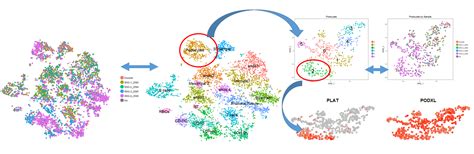 Multiplexed Droplet Single Cell Rna Sequencing For Cellular Profiling