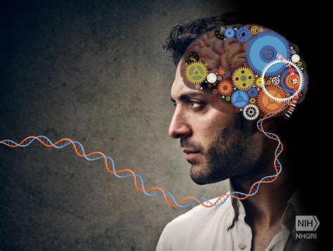 Schizophrenia An Important Hallmark Of Schizophrenia Has B… Flickr
