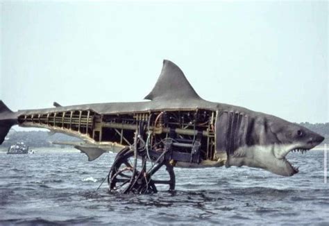 Jaws Behind The Scene Bruce Megalodon Real Life The Megalodon