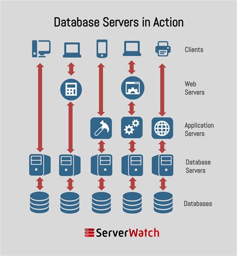 what is a database server and what is it used for serverwatch