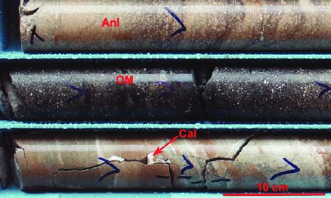 Triassic Formation Core Sample Enriched In Organic Matter And Analcime