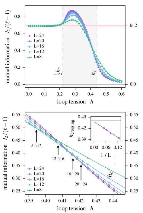 Color Online Top Panel Mutual Information I2 Of The Classical Toric