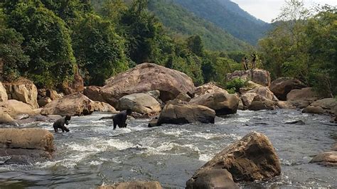 North Rumphi Mini Hydropower Project 19 Mw Malawi Syntara Energy