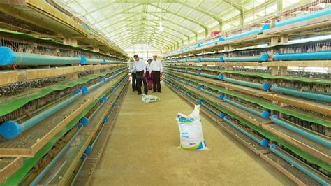 ရန်ကုန်တိုင်းဒေသကြီးဝန်ကြီးချုပ် ဦးစိုးသိန်း ညောင်နှစ်ပင် စိုက်ပျိုးမ