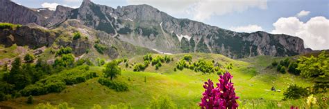 Planina Zelengora Gde Putovati