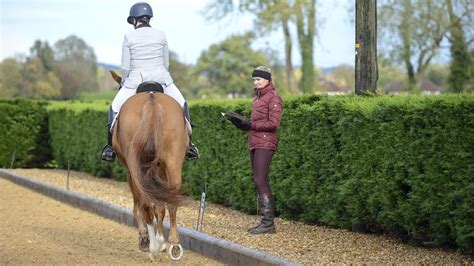 Are Dressage Horses Being Overproduced For Young Horse Classes