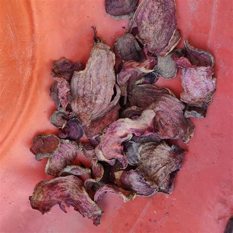 Sliced Beetroot At ₹ 105kg Sojat Id 25229014091