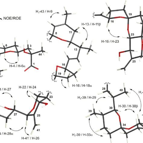 Crystallographic Structure Of Okadaic Acid Blue Superimposed With The