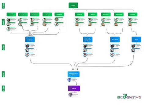 Entry 15 By Swetagt25 For Organization Chart Design Freelancer