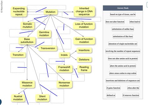 The User Has Provided An Image Of A Concept Map Related To Mutations And