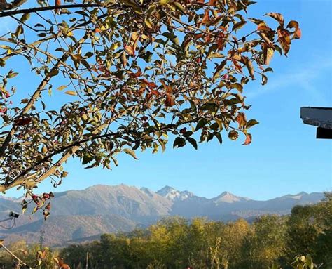 Casa De Vacanta Epic House 📌avrig Am Fost In Vacanta