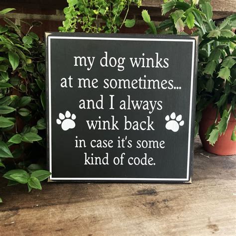 Dogs Cats Pets Country Workshop