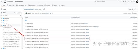 MMSegmentation使用预训练模型推理PyTorch版 知乎
