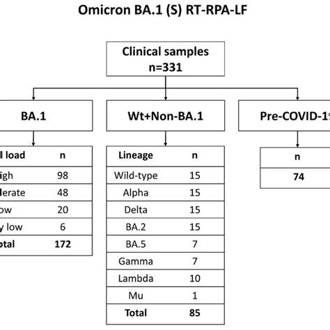 Flow Chart For The Diagnostic Evaluation Of Sars Cov 2 N Rt Rpa Lf Download Scientific Diagram