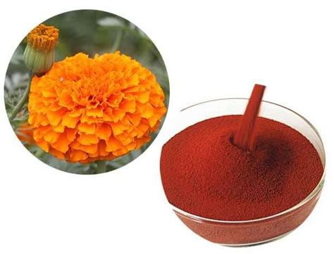 100 Natural Lutein Ester 5 ~80 Hplc