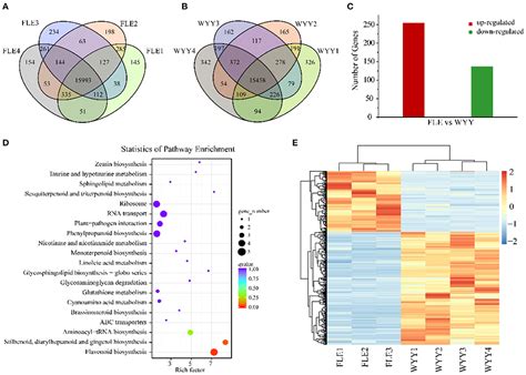 Frontiers Integration Of Transcriptome And Metabolome Reveals The