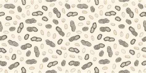 Premium Vector Vector Peanut Shells And Seeds Seamless Pattern