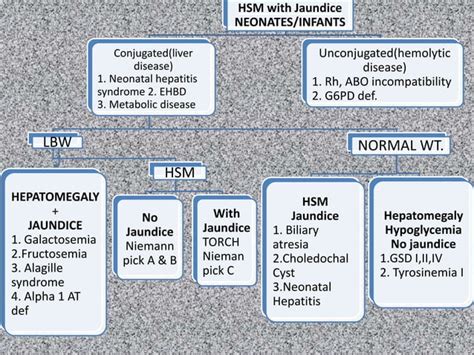 Approach To Storage Disorder 1 1 Pptx