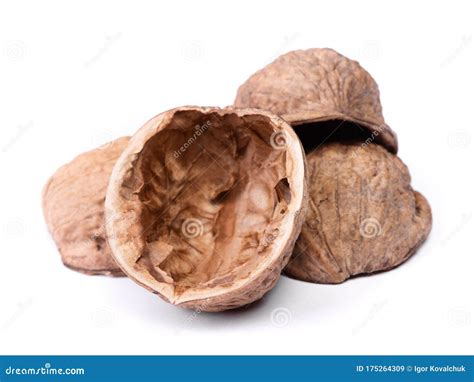 Empty Walnut Shells Stock Image Image Of Peeling Cracked 175264309