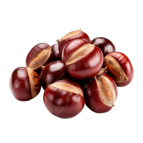 Edible Sweet Chestnuts Healthy Delicious Autumn And Christmas Veggie