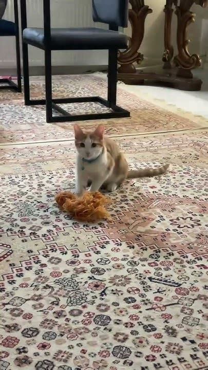 بازی جکسی Playgaksi Youtube