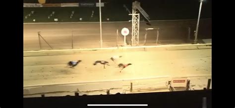 Josh Sealey Joshsealey Twitter