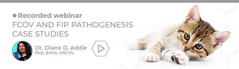 Fcov And Fip Pathogenesis Case Studies Biogal Academy