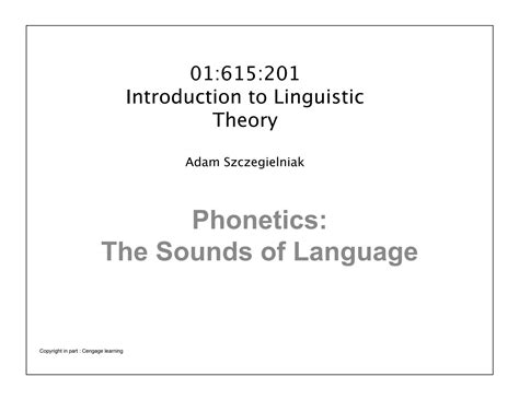 Solution Introduction To Languistic Theory Studypool
