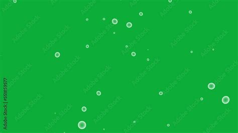Bubbles Float Upwards On Green Screen Flying Water Bubbles On Green