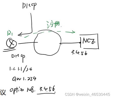 hcia：dhcp hcia dhcp csdn博客
