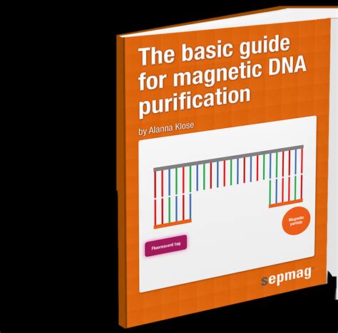 The Basic Guide For Magnetic Dna Purification Sepmag