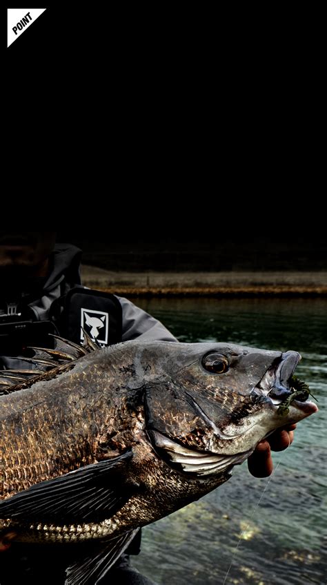 Bleeker Bottom Switch Salt Water 海釣り｜jackall｜ジャッカル｜ルアー