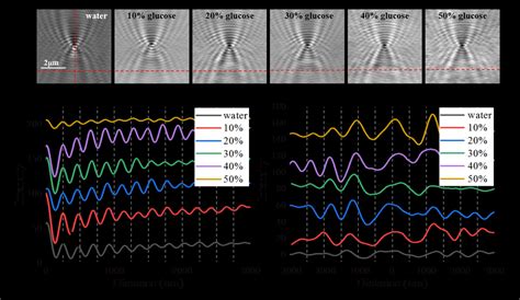 A Plasmonic Interferometric Imaging Of A 200 Nm Au Particle Situating