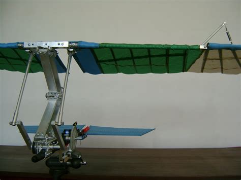 Flapping Wing Ornithoid With Passive Articulated Adaptive Wing 2