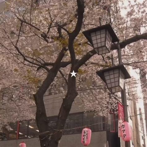 Japanese Aesthetic Pfp By Mrcheckertan