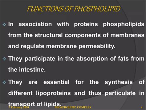 Phospholipid Complex Ppt Ppt