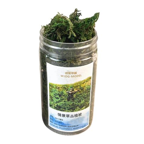 Grass Tufts Terrain Model Miniature Modeling Miniature Grass Tuft For 1