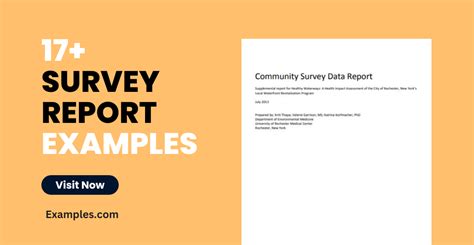 Methodology Example In Survey Report