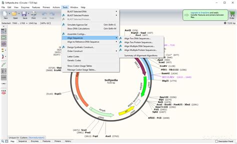 N Nucelotide Sequence Snapgene Viewer Orderpassl
