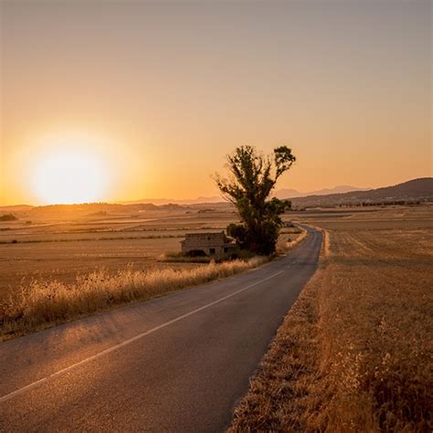 Two Uncles Great Australian Story