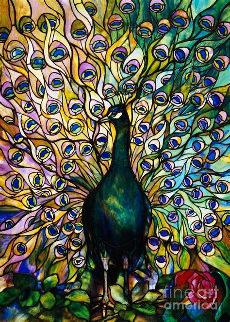 Peacock Photograph By American School Fine Art America