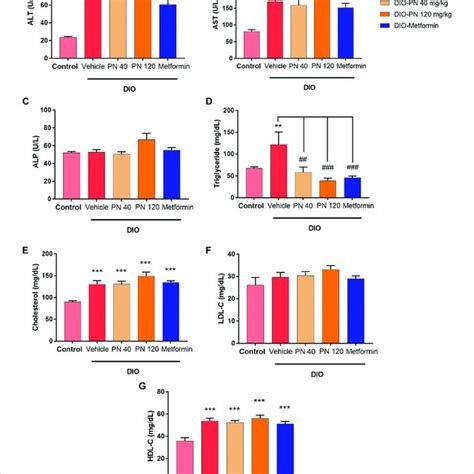 A The Body Weight Of The Control And Dio Mice During Dietary Download Scientific Diagram
