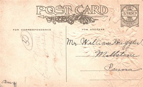 Vintage Postcard Greetings From Wayne Eberly Raughts Flower Bouquet Design Card Other