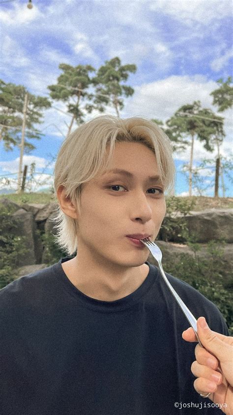 Pin By Joshujisooya On Aesvthetics Seventeen Junhui Mingyu