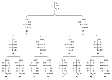 Difference Between Polyhydroxy Aldehydes And Polyhydroxy Ketone