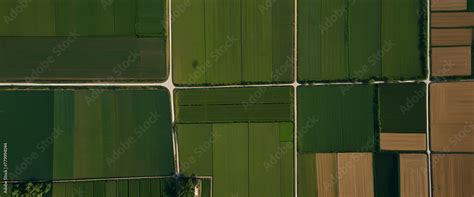 Aerial Satellite View Of Cultivated Agricultural Farming Land Fields With Vivid Green Color As A