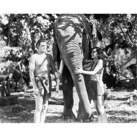 Johnny Weissmuller Petting An Elephant With A Woman In A Classic Movie