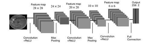 Convolution Neural Network Process Download Scientific Diagram
